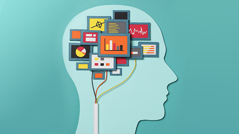 Conocimiento | Definición y diferentes tipos de conocimiento
